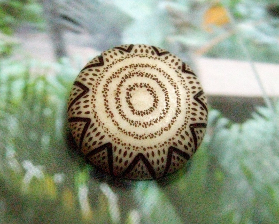 Mushroom Plastic Buttons - Lot 10 Pieces of Interesting Growth Rings ...