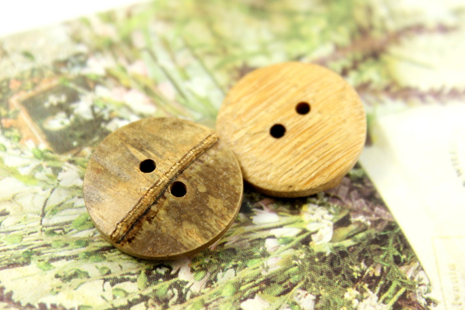 Bamboo Buttons 10 Pieces of Original Bamboo Joint 2 Holes - Etsy