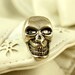 Metal Buttons - Skull Metal Buttons , Antiqued Gold Color , Shank , 1 ...