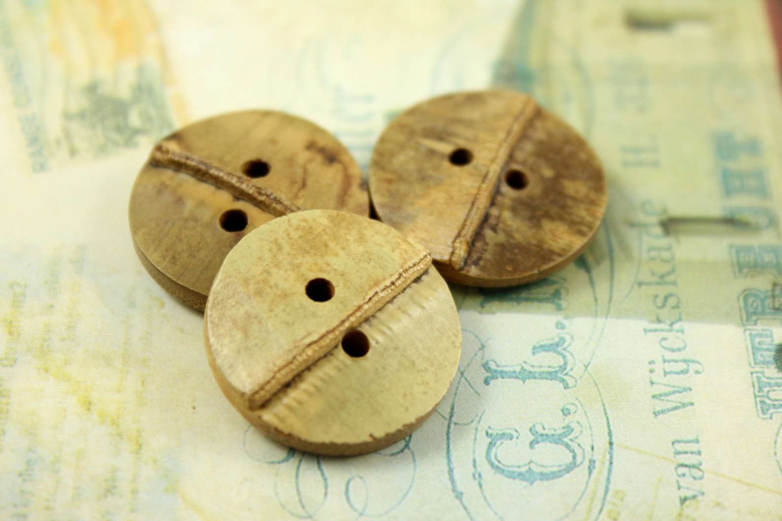 Bamboo Buttons 10 Pieces of Original Bamboo Joint 2 Holes - Etsy