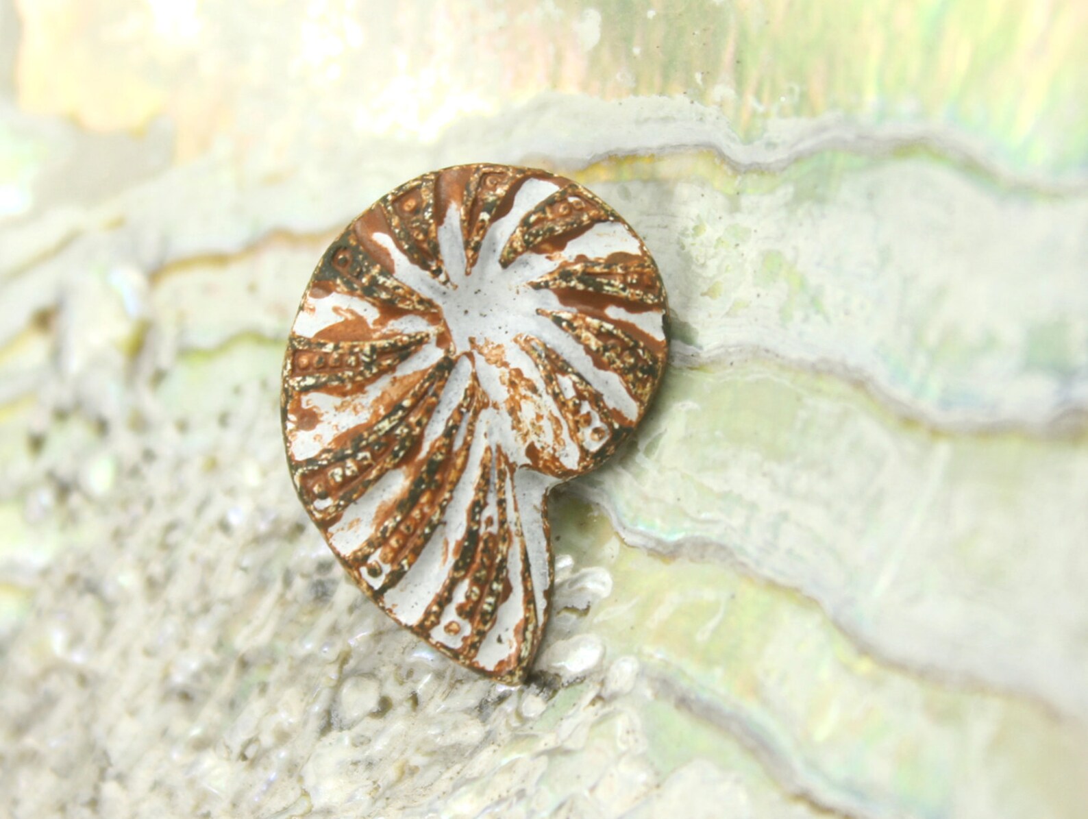 Metal Buttons - Ammonite White Rust Color Metal Shank Buttons - 0.79 ...