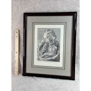 1777 Anatomy,arteries of the Thorax, Custom Beck Frame D. F Cameron 3/ ...