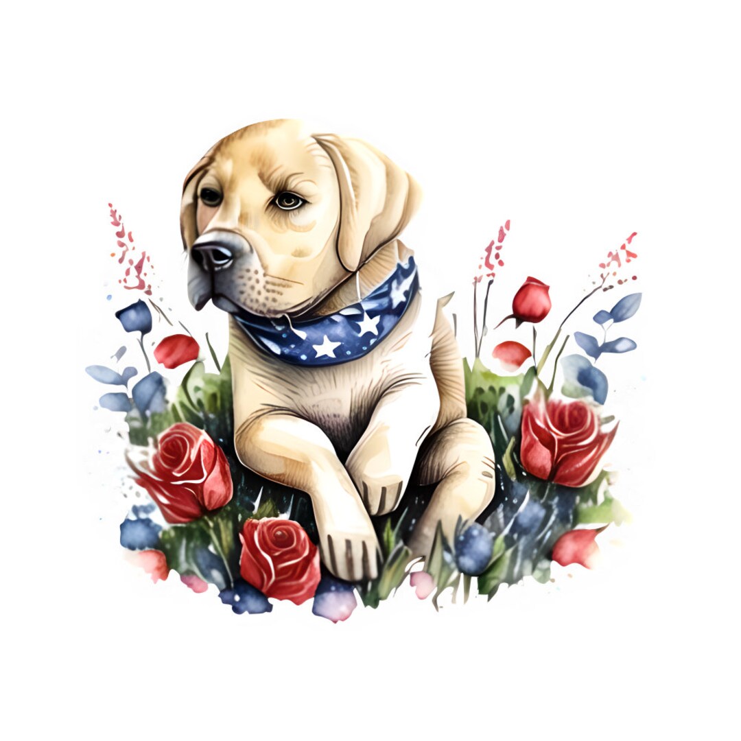 Patriotic Yellow Lab Hi-res Transparent PNG - Etsy