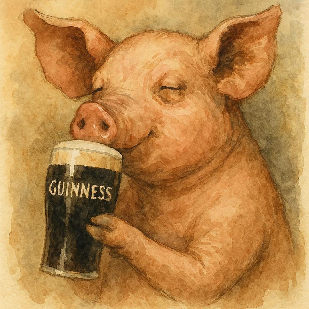 Pig Drinking A Guinness | Guinness Poster | Funny Vintage Guinness Ad ...