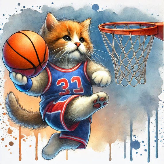 Cat Basketball Memes