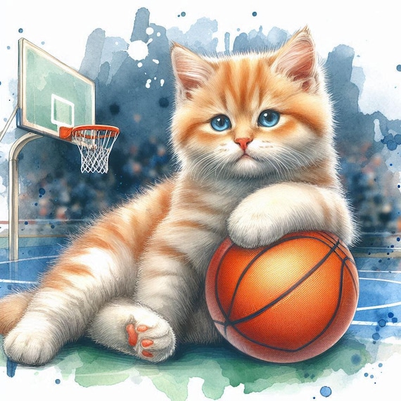 Cat Basketball Memes