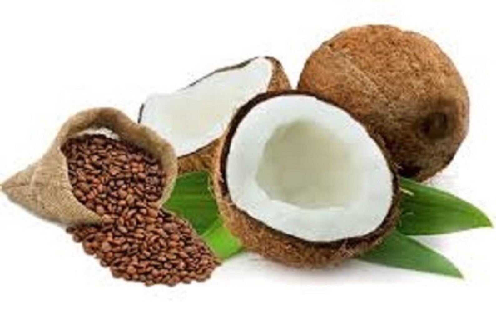 Toasted Coconut 3oz and 8oz Bag of Flavored China Black Leaf Tea - Etsy