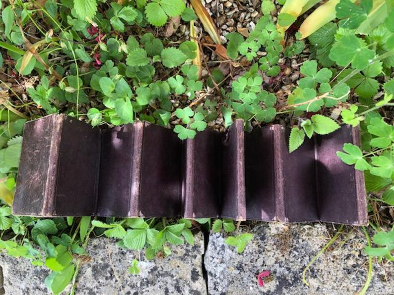 Rare Victorian CDV Concertina Photo Frame. Holds 12 Cdvs. Shabby Gold ...