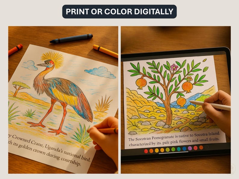 Africa Coloring Bundle for Kids | Animals, Birds & Flowers | 3 ...
