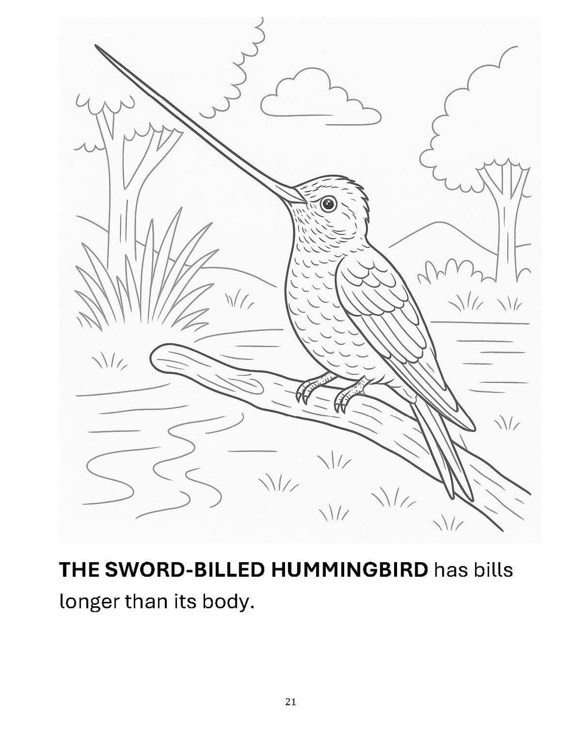 Bird of South America Coloring Pages for Kids | Realistic Printable ...