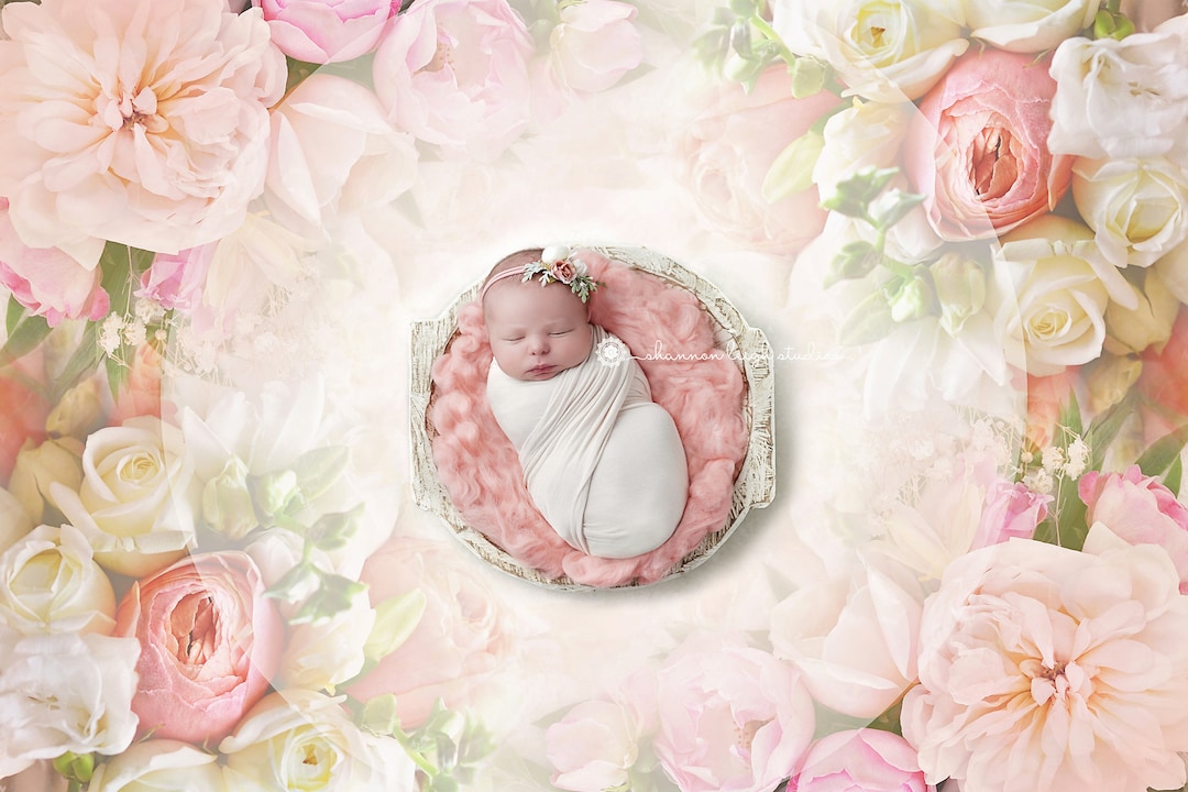 Digital Backdrops, Props (baby Newborn Prop Digital Download) Flower ...