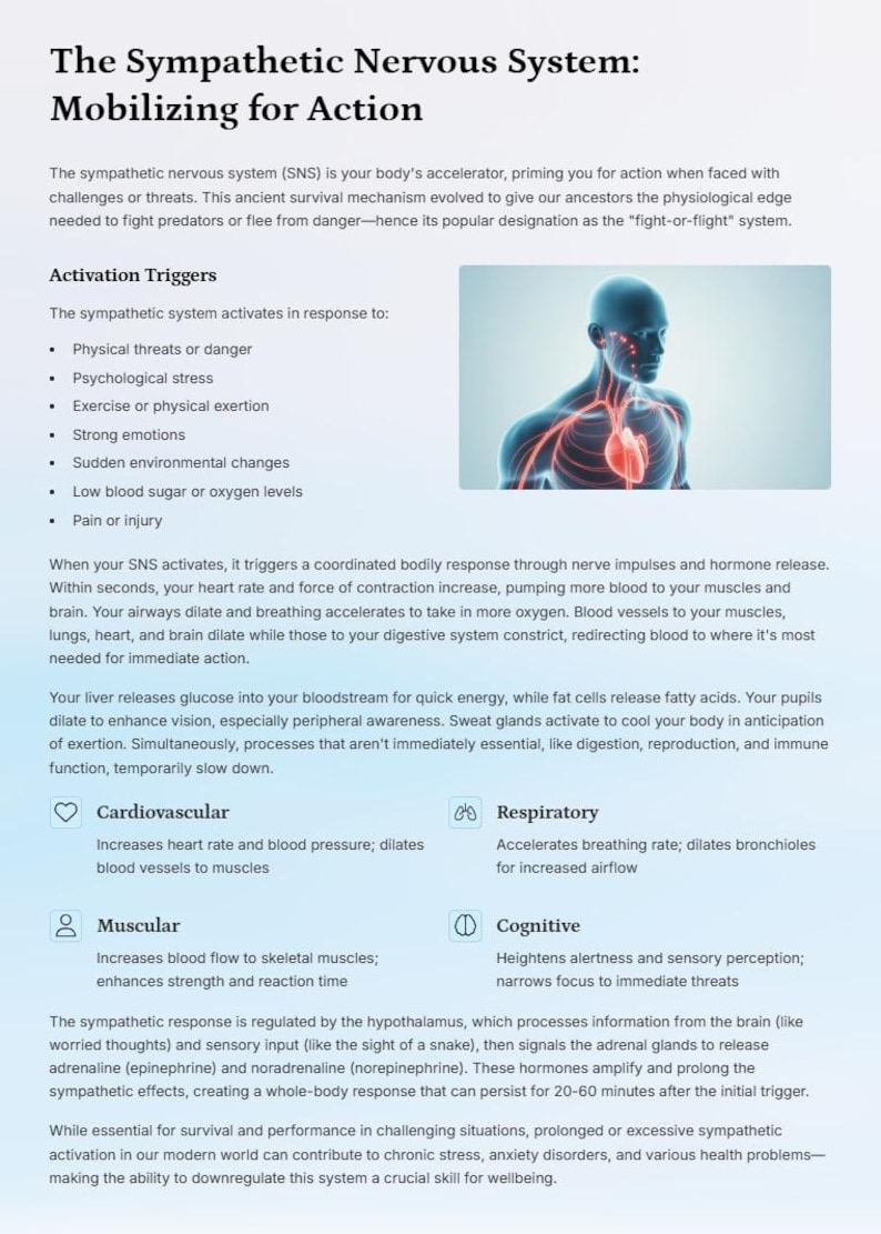 Calm Within: A Nervous System Regulation Workbook | Somatic Tools ...