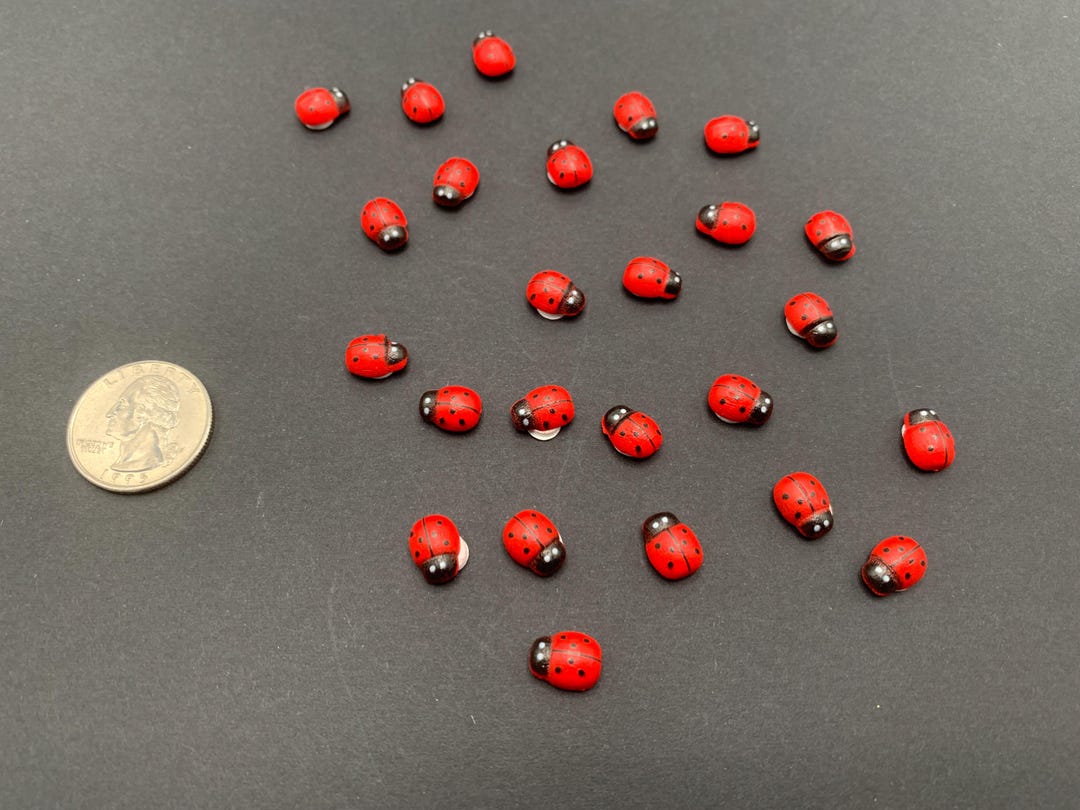 Miniature Wooden Ladybugs: Red Bug Embellishments, Fairy Garden Decor ...