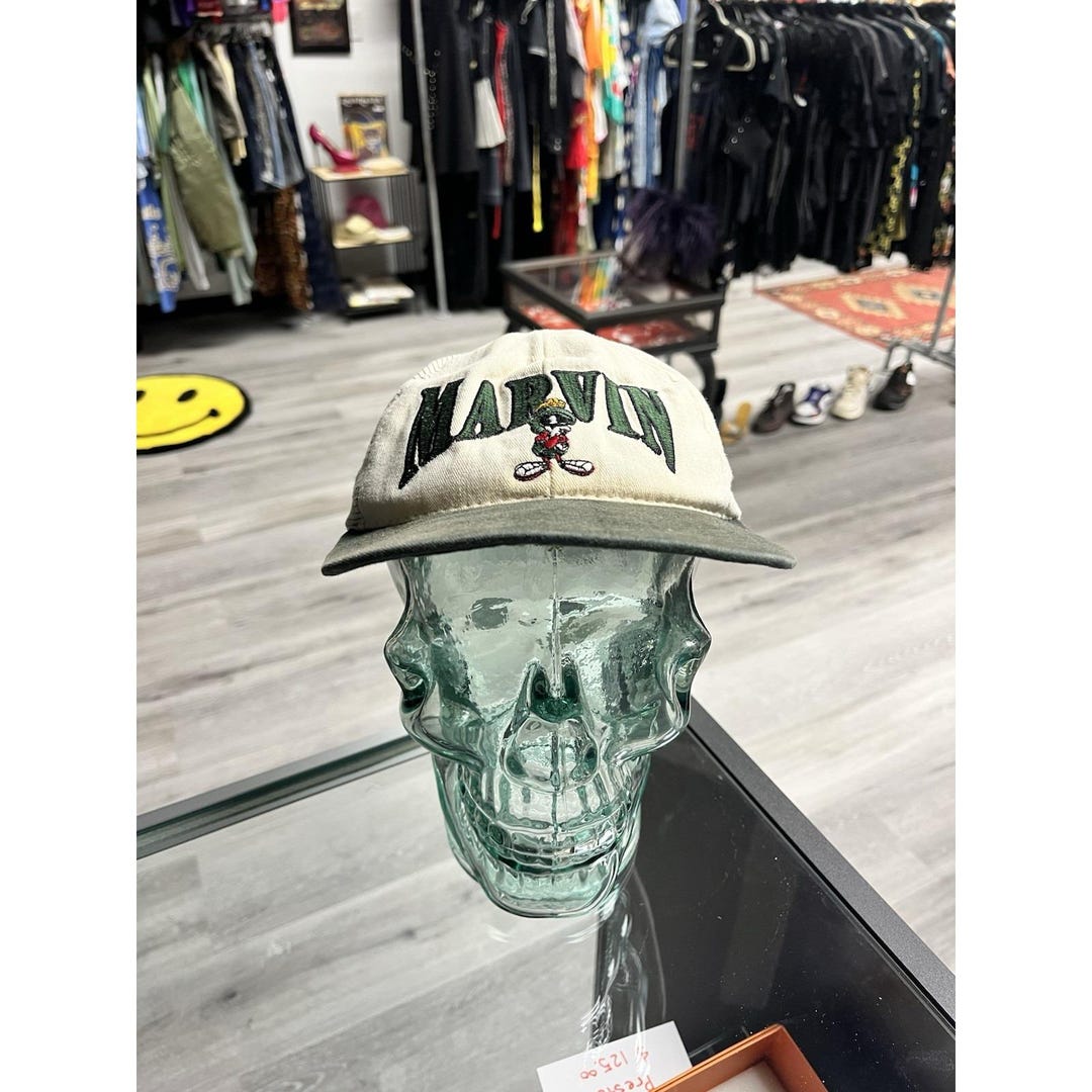 Vintage 1992 Marvin the Martian Cartoon Warner Bros Youth Snap Back Hat ...