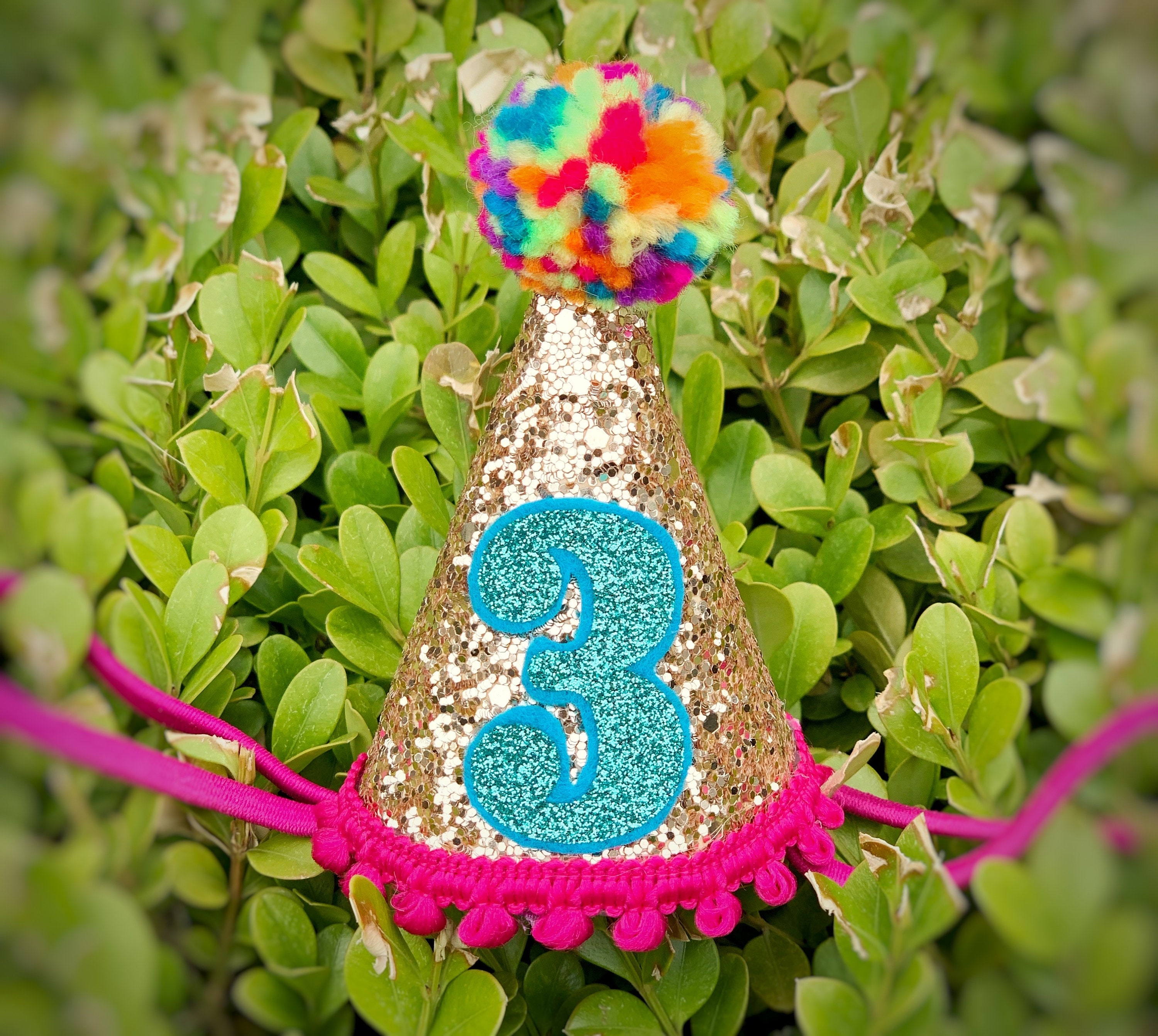 1st Birthday Hat Glitter Birthday Hat Miniature Party Hat Etsy 1st-birthday-hat-glitter-birthday-hat-miniature-party-hat-etsy