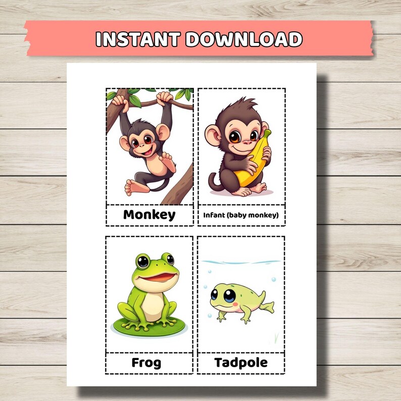 Animal Flash Cards for Toddlers – 60 Printable Kids Learning Cards ...