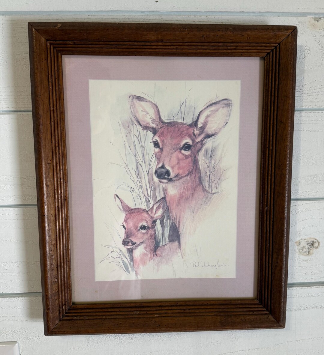 Vintage DEER ART PRINT Mother & Fawn by Paul Whitney Hunter Framed - Etsy