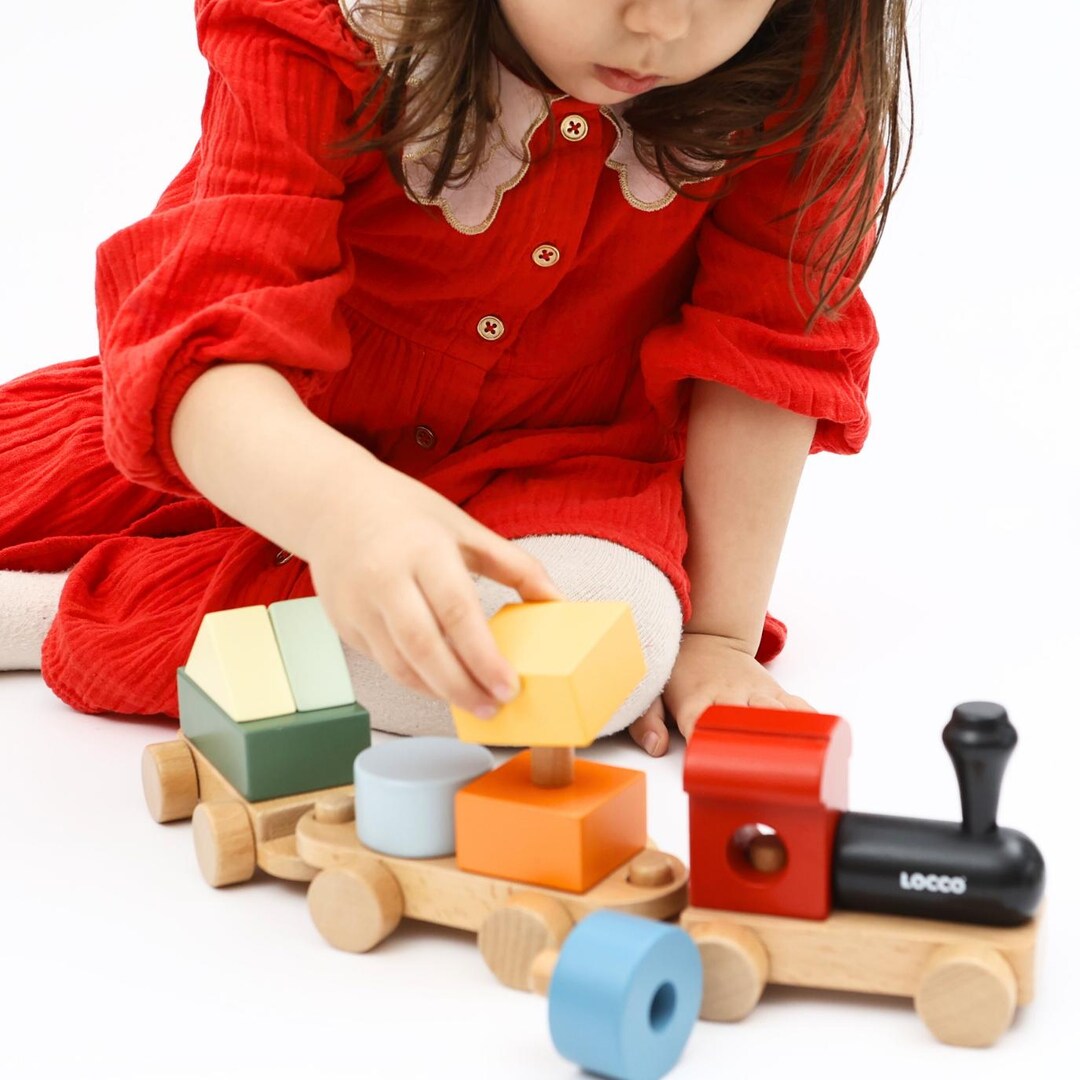 Horizon Educational Train | Wooden Shape Sorter Train Montessori Toy ...