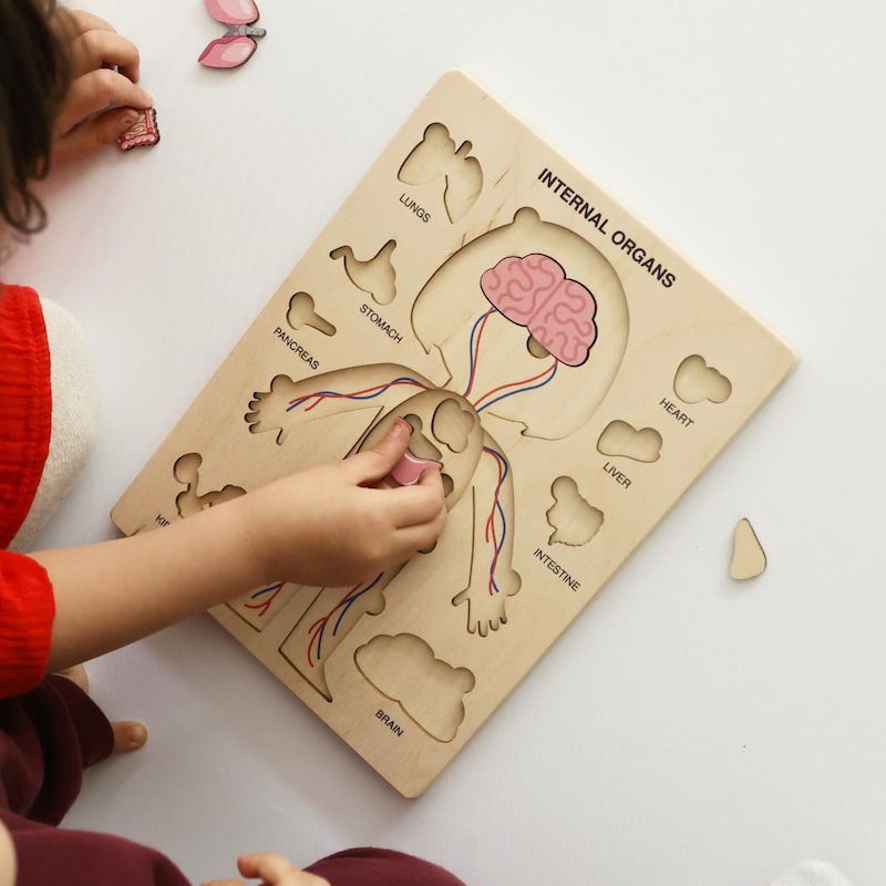 Human Body Puzzle - Etsy