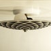 The Gryphon Ceiling Light - Etsy