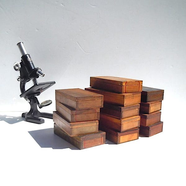 Microscope Slides - Etsy