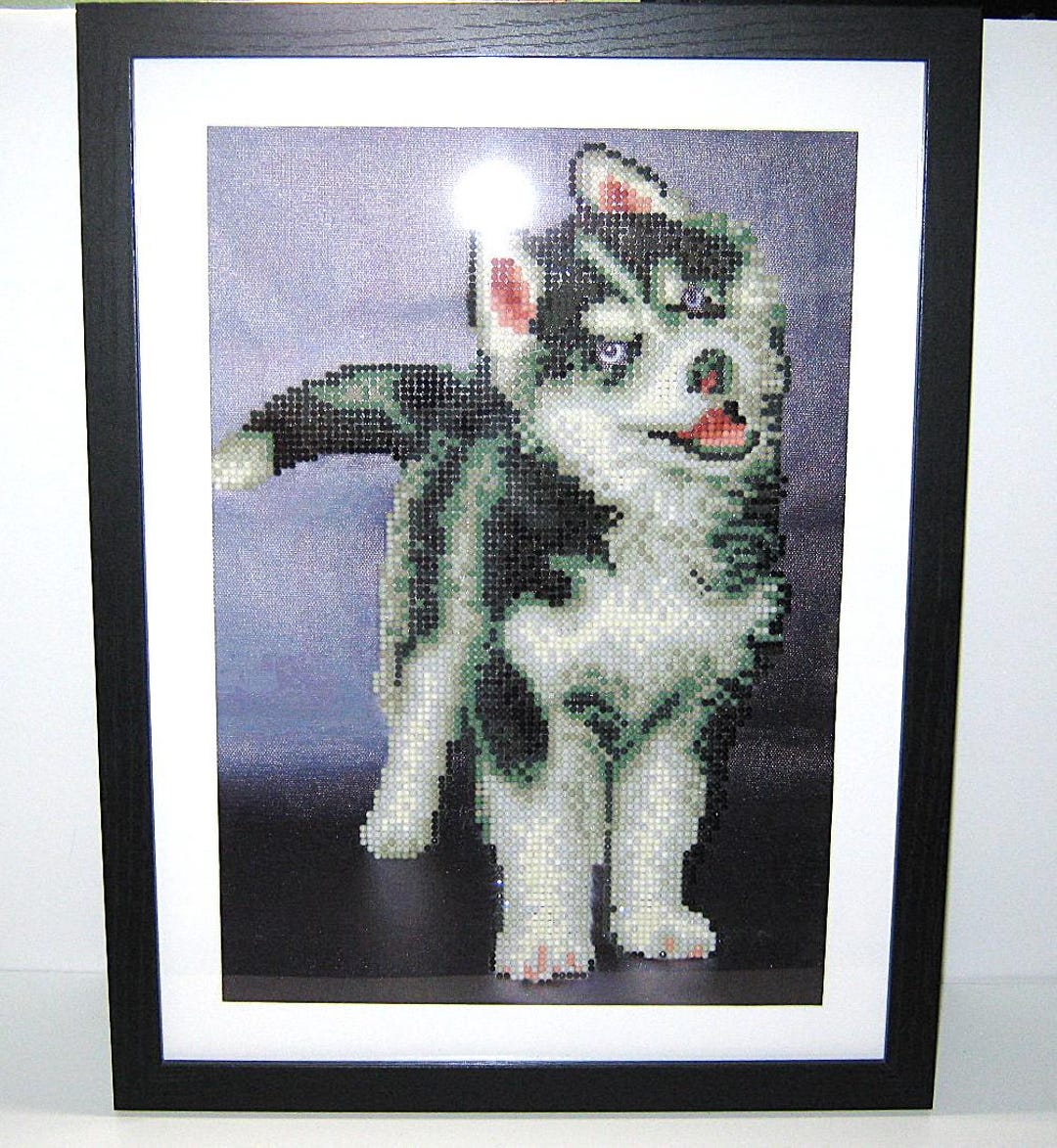 Diamond Art Painting - Completed & Framed - Husky Dog - Etsy