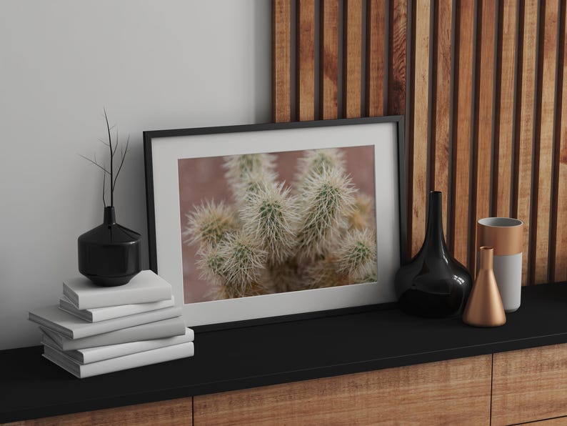 Teddy Bear Cholla Cactus Arizona Wall Art Macro Photography Print - Etsy