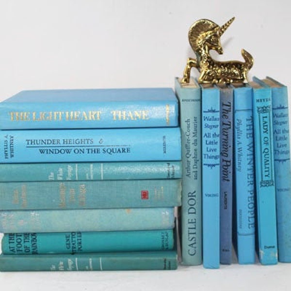 Blue Book Stack - Etsy