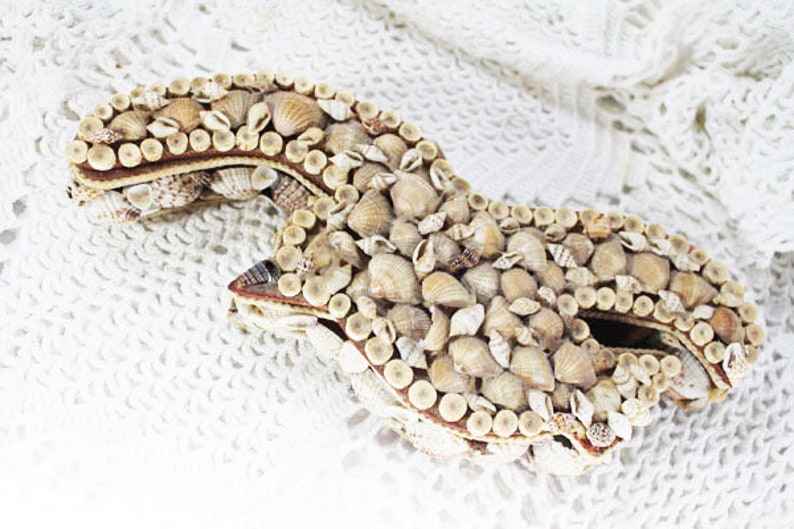 Jewelry Box Made of Shells Shell Seagull Jewelry Knick Knack | Etsy