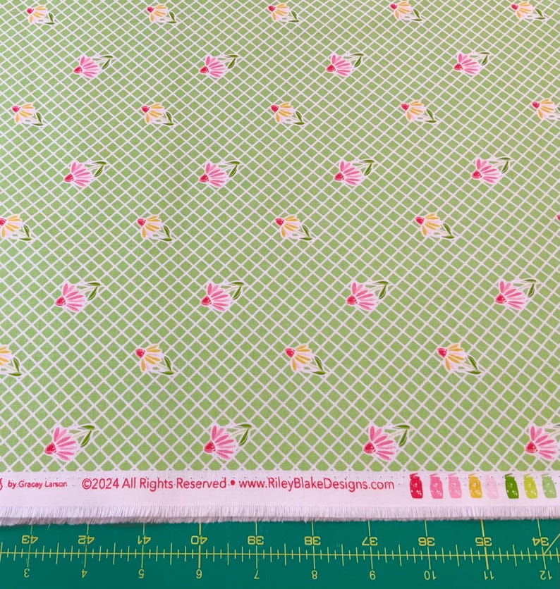 Riley Blake Fabric Summer Skies and Fireflies Cone Flowers Lime High ...