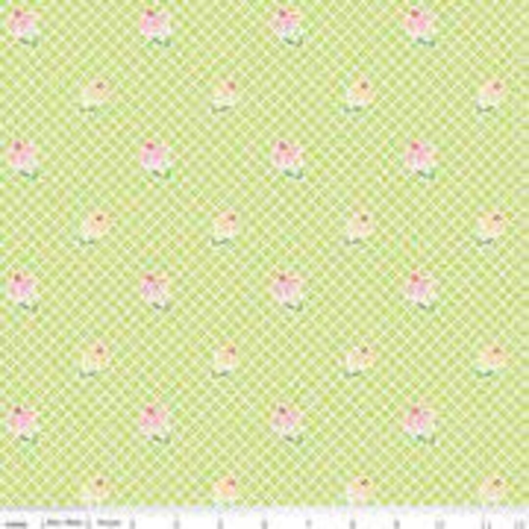 Riley Blake Fabric Summer Skies and Fireflies Cone Flowers Lime High ...