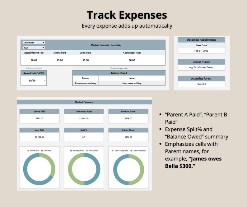 Co-parenting Medical Expense Spreadsheet: Child Support, Appointment ...