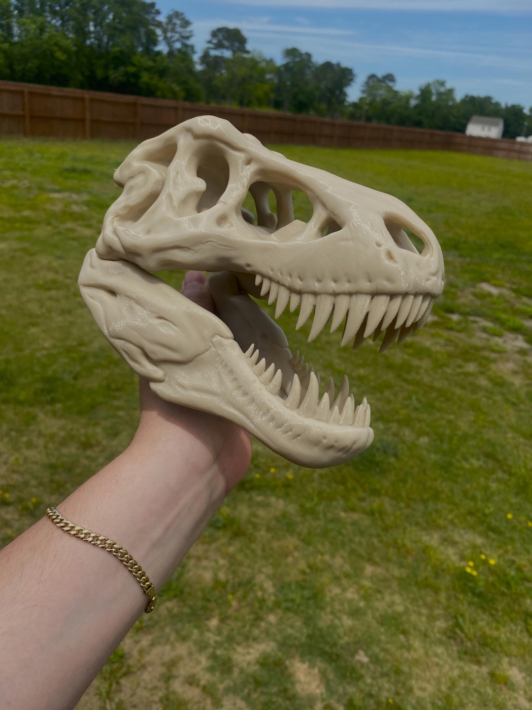 3D Printed T-rex Skull Replica - Etsy