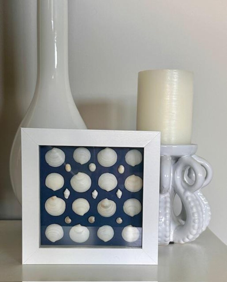Coastal Treasure Shadowbox | Buttercup Lucine & Dosinia Shell Display ...