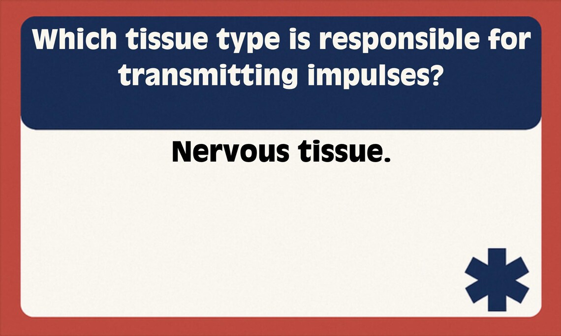 Anatomy and Physiology Study Guide + Flashcards | EMT Paramedic Nursing ...