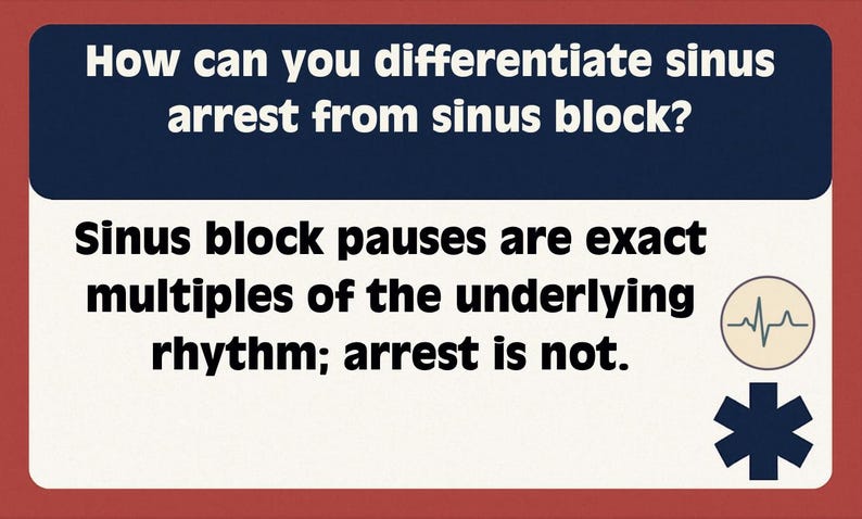 The Ultimate Paramedic Reference Guide + BONUS 140 Flashcards | EMT ...