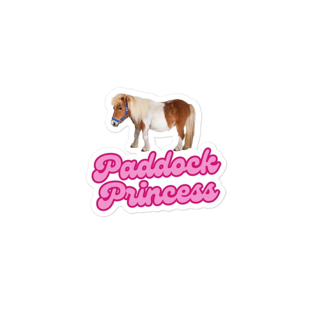 Miniature Horse Sticker, Cute Paddock Princess Decal, Perfect for ...