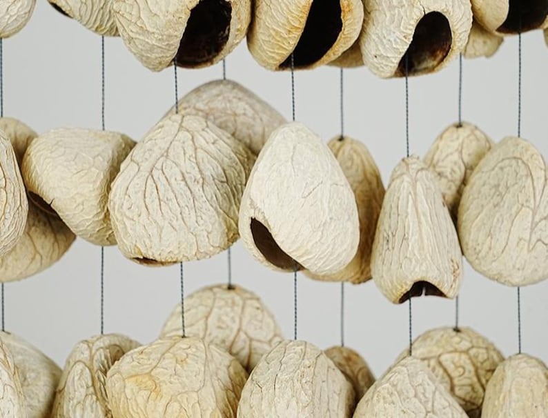 Handmade Waterfall Pangi Seed Shell Chime for Yoga and Meditation ...