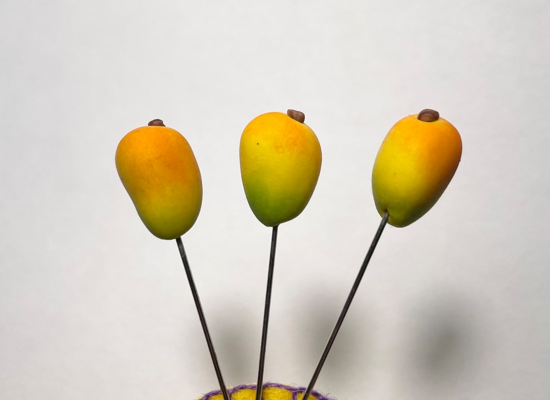 Mango Counting Pins - Etsy