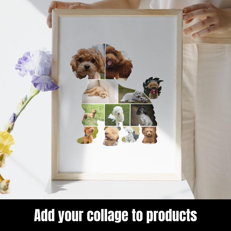 Cavoodle Photo Collage Template: Custom Pet Memorial Gift (canva ...