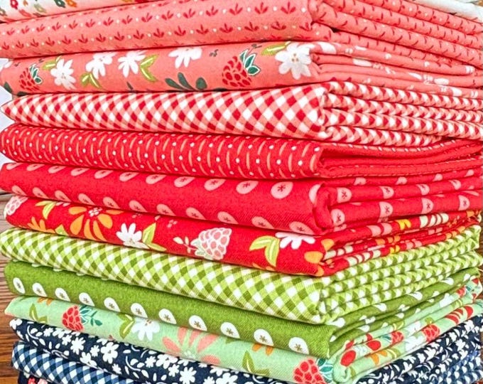 Raspberry Summer Fabric Bundle by Sherri and Chelsi From Moda - Etsy