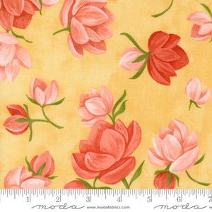 Cordelia Quilt Kit With Kindred Fabric by 1 Canoe 2 From Moda - Etsy