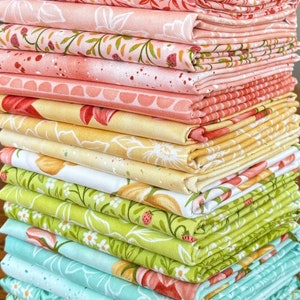 Kindred Fabric Bundle by 1 Canoe 2 From Moda - Etsy