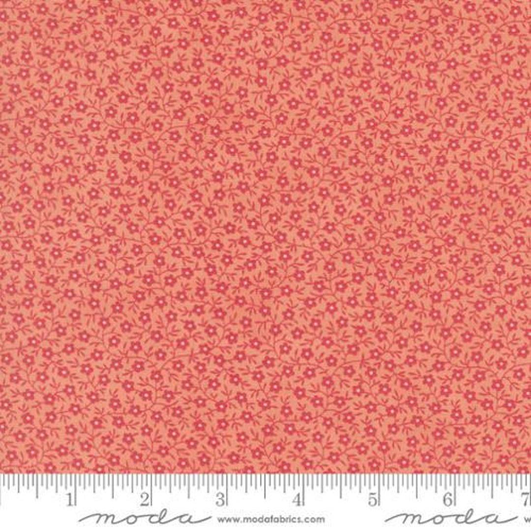 Collections for a Cause Unity Fabric From Moda - 46265 19 Peony - Etsy