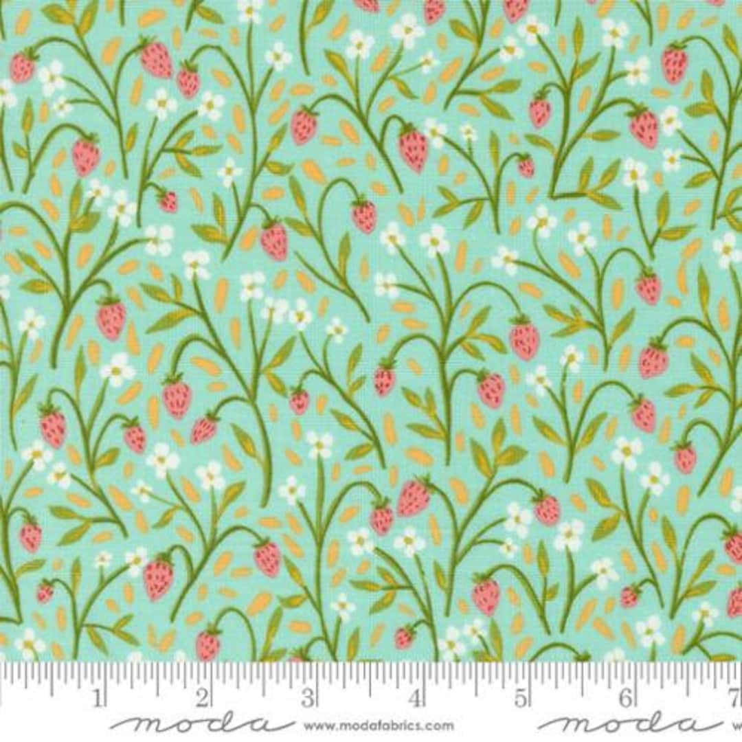 Kindred Fabric by 1 Canoe 2 From Moda 36071 14 Aqua - Etsy