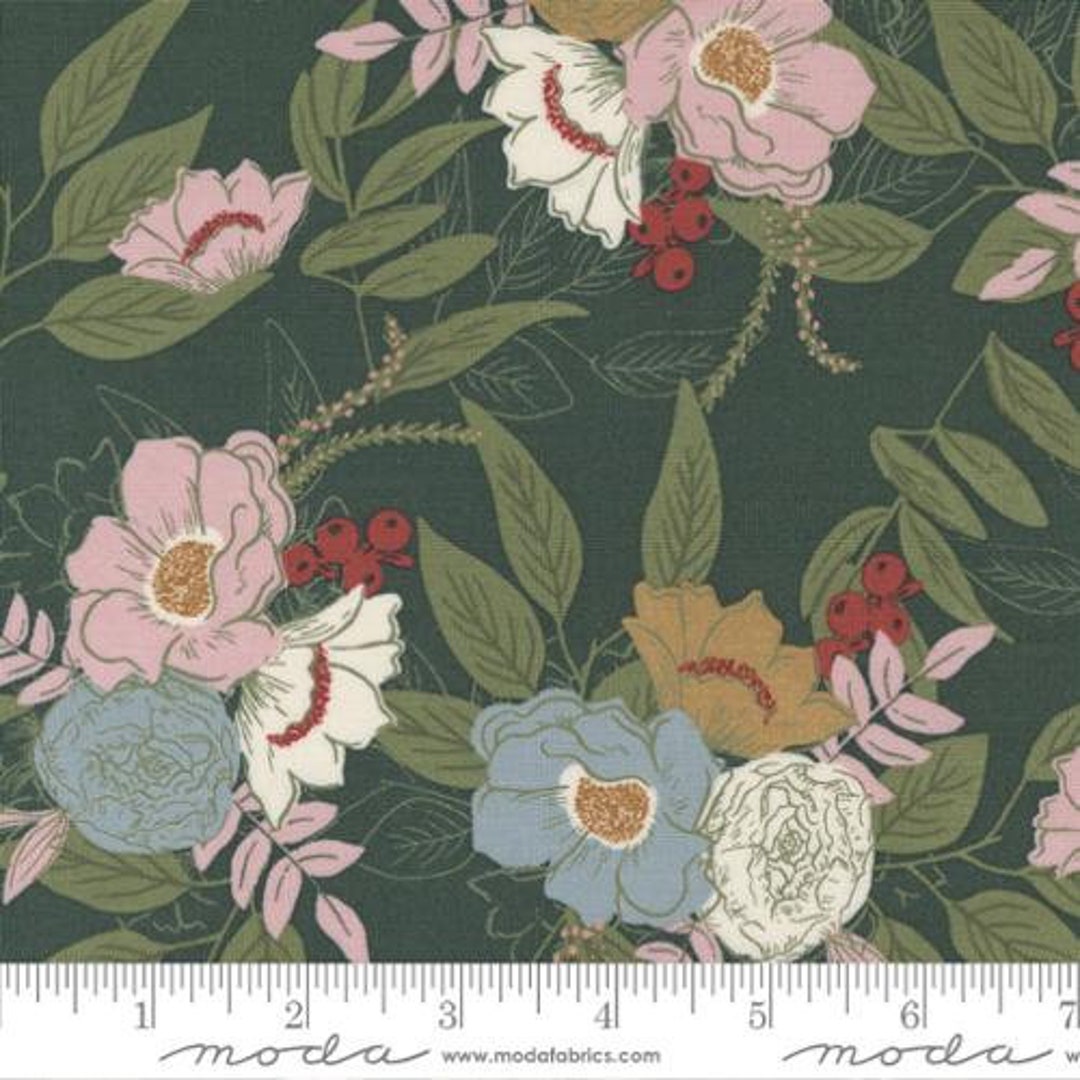 Slow Stroll Quilting Fabric by Fancy That Design House From Moda 45541 ...