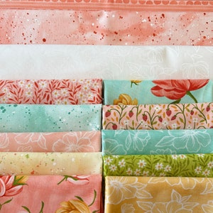 Cordelia Quilt Kit With Kindred Fabric by 1 Canoe 2 From Moda - Etsy