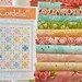 Cordelia Quilt Kit With Kindred Fabric by 1 Canoe 2 From Moda - Etsy