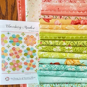 Bloomberg Meadow Quilt Kit With Kindred Fabric by 1 Canoe 2 From Moda ...