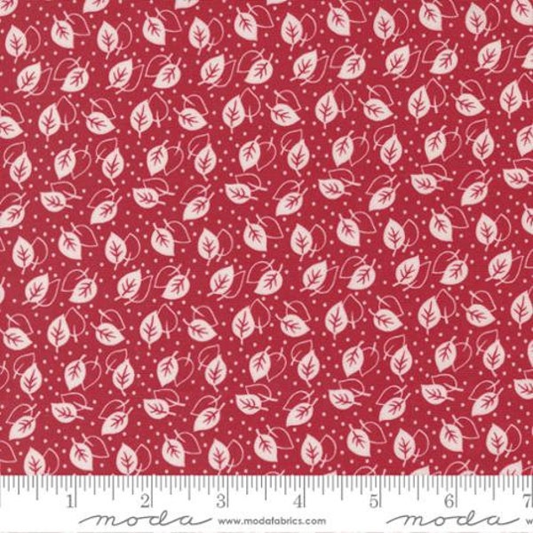 American Jane - Etsy